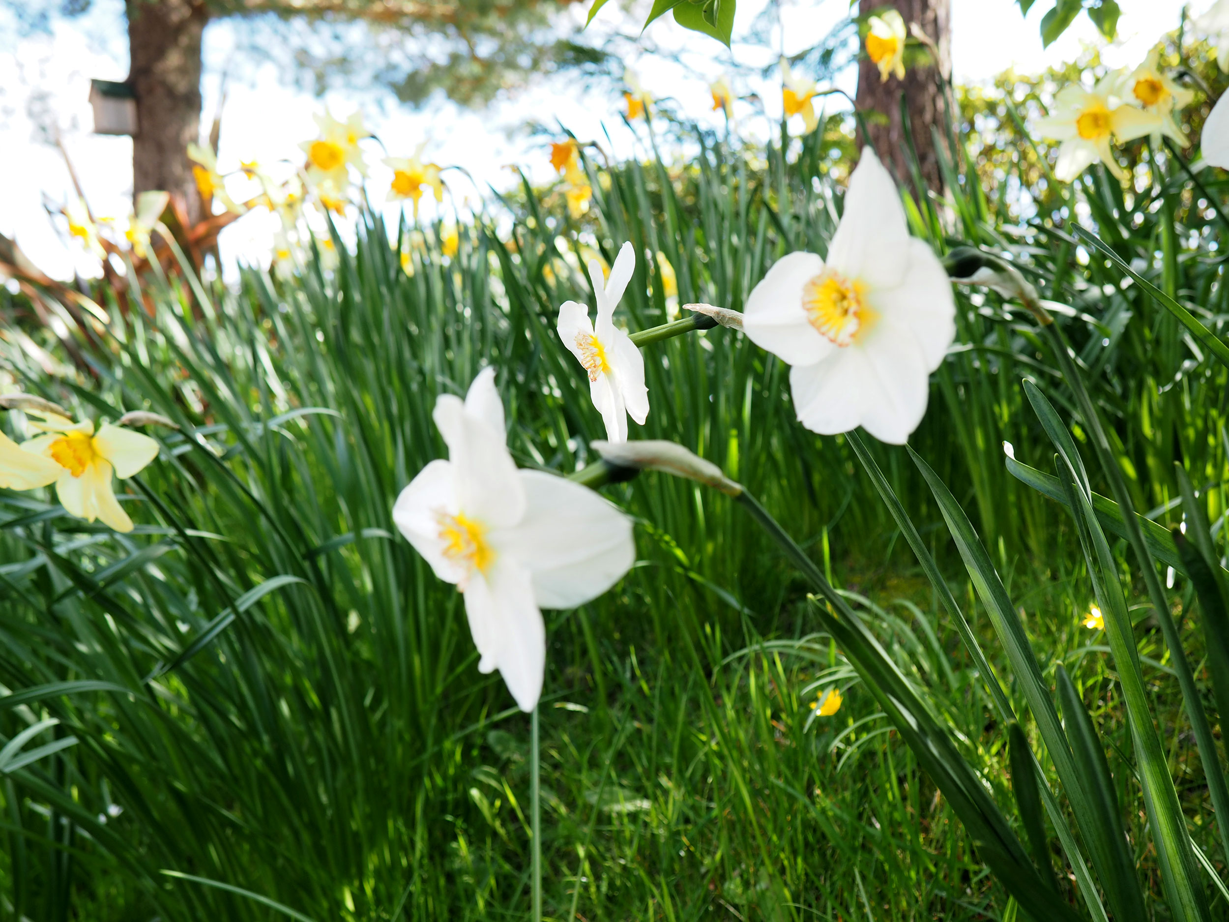 Hill House | Residential Care Home in Honiton, Devon | Abbeyfield Living Society